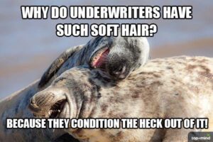 Mortgage Memes - Curb Hero