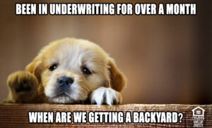 Mortgage Memes - Curb Hero